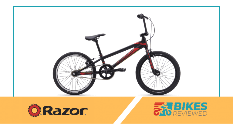 Top 10 Best BMX Brands Of 2023 - BikesReviewed.com