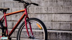 How To Find Bike Serial Numbers And Importance of it!